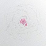 Aquarell Rosen malen – Drei Anleitungen