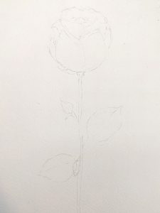 Aquarell Rosen malen – Drei Anleitungen