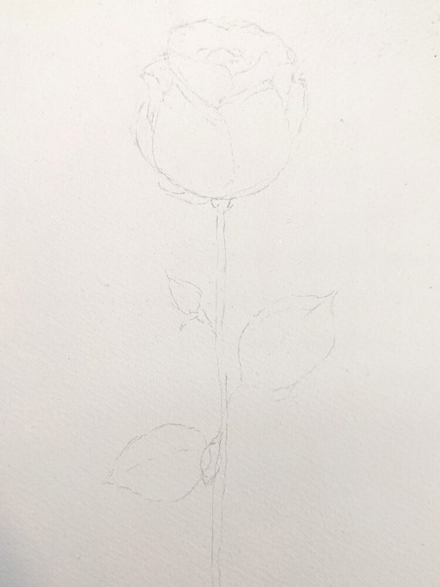 Aquarell Rosen malen – Drei Anleitungen