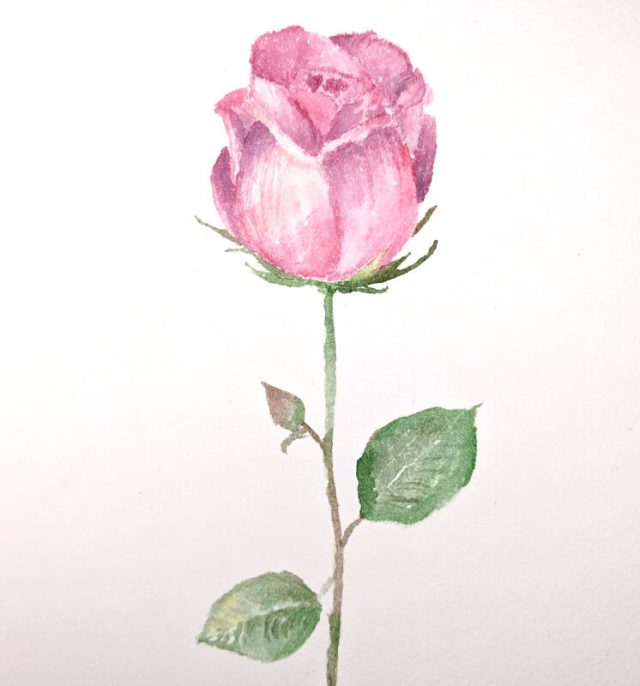 Aquarell Rosen malen – Drei Anleitungen