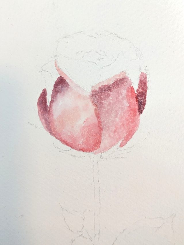 Aquarell Rosen malen – Drei Anleitungen