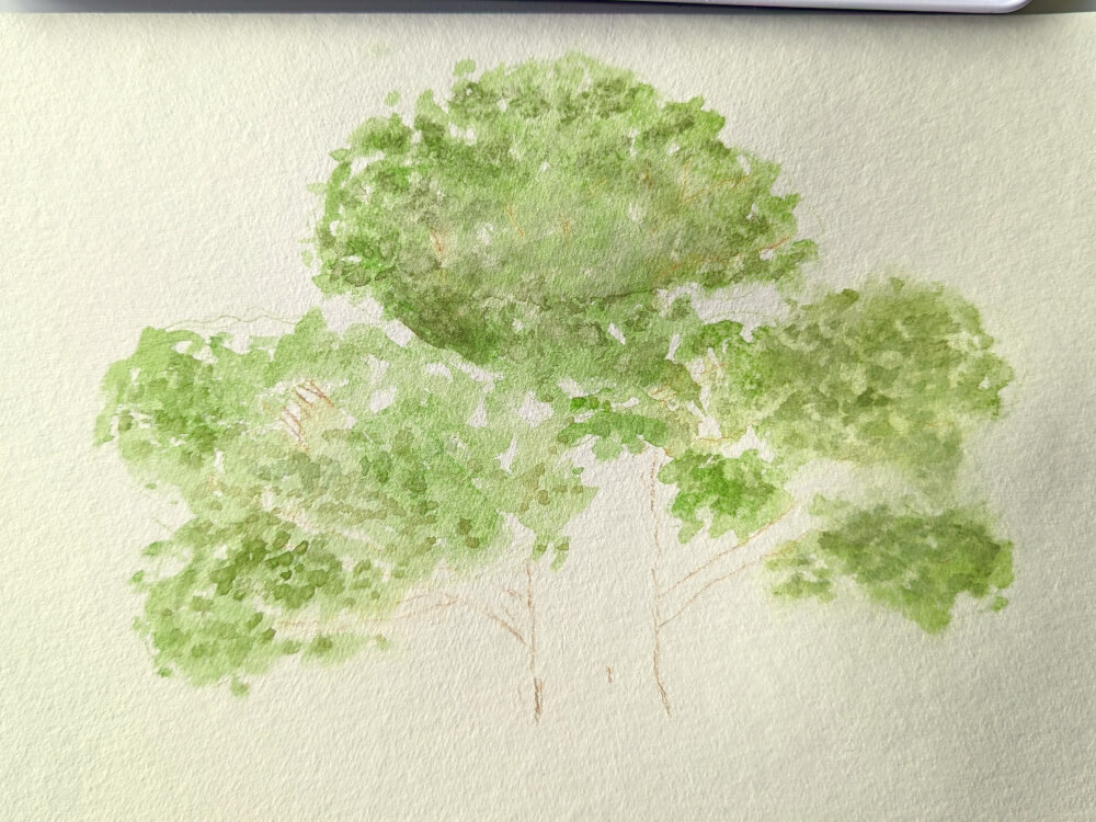 Aquarell Bäume malen – 3 Anleitungen